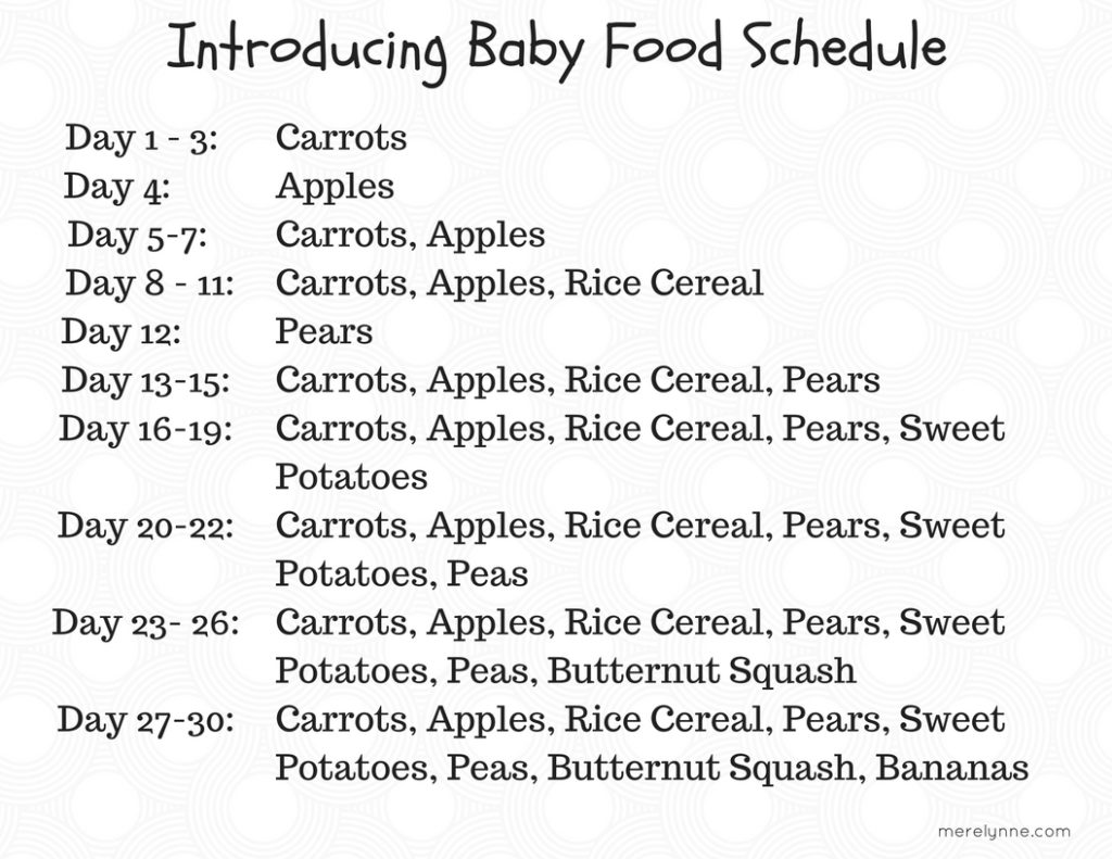 Introducing Baby Food Schedule Meredith Rines